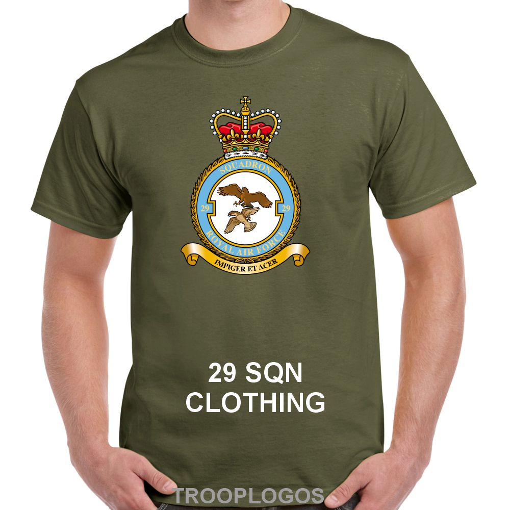 29 Squadron RAF – Troop Logos