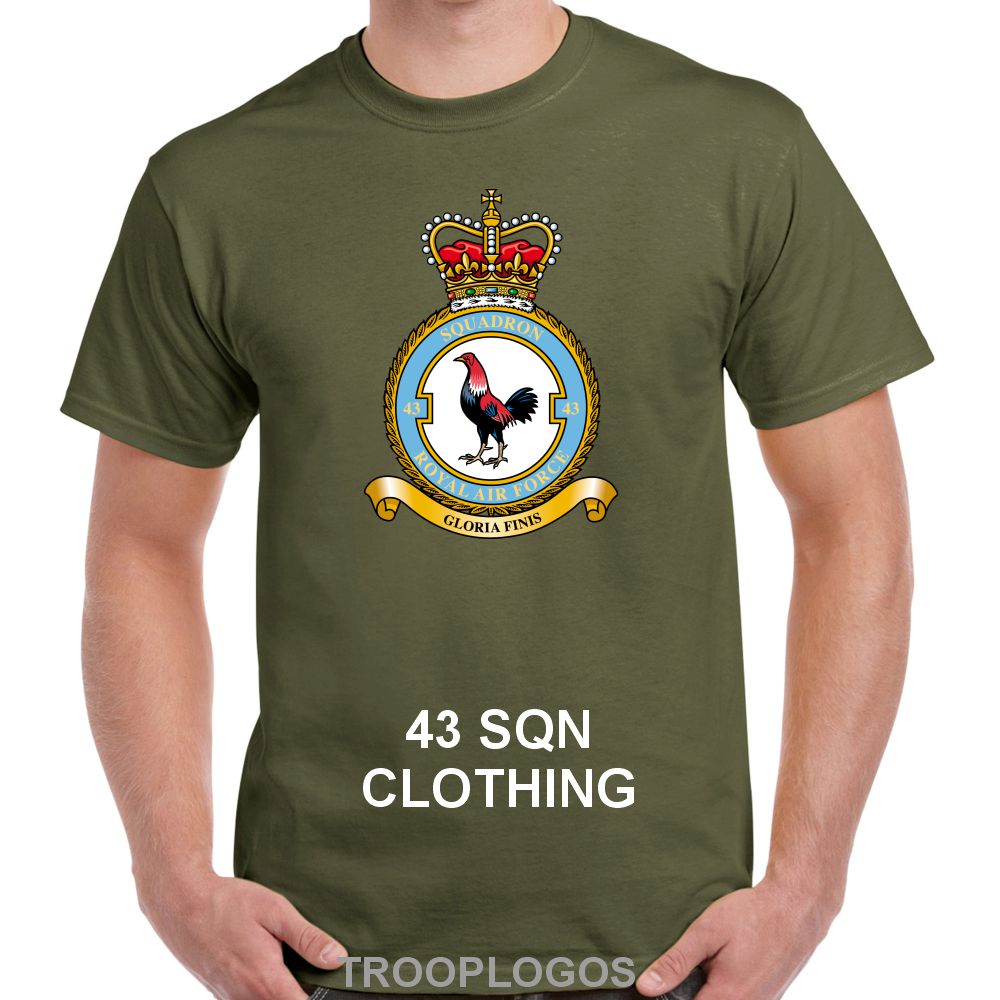 43 Squadron RAF – Troop Logos